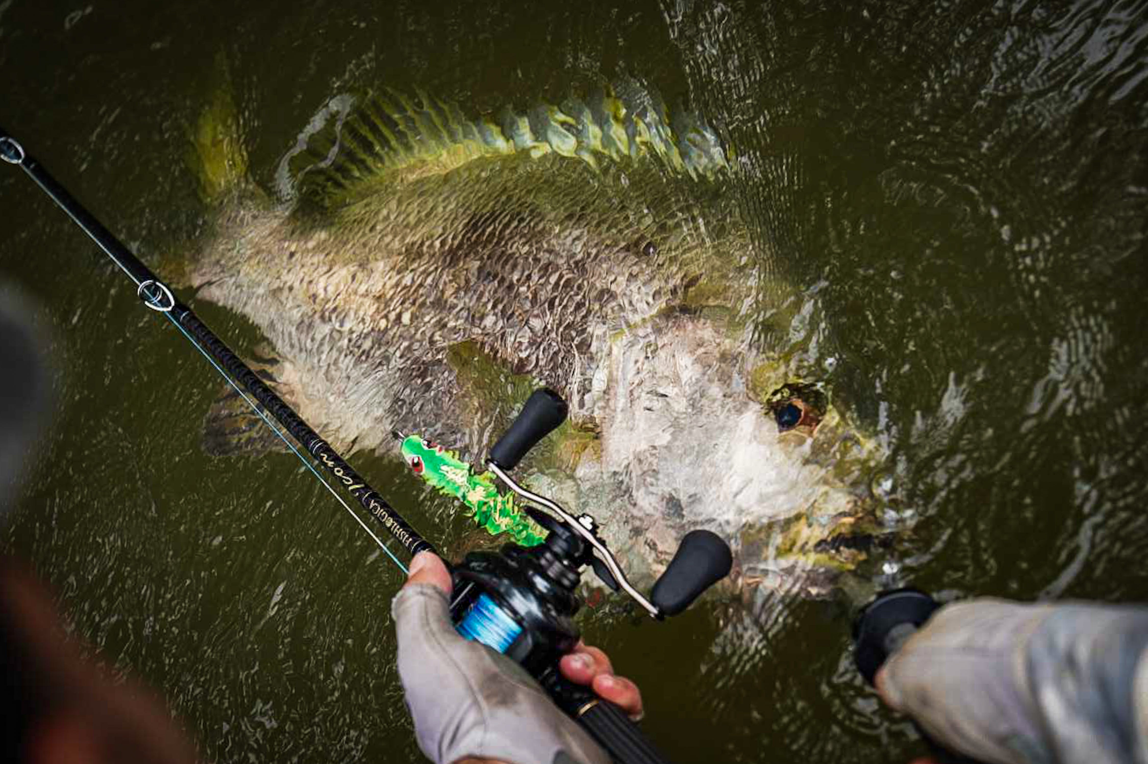 ChopShop Prop Bait – Pacemaker Concepts